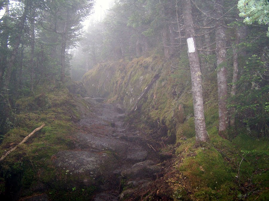 Hiking in the White Mountains: Franconia Notch Loop
