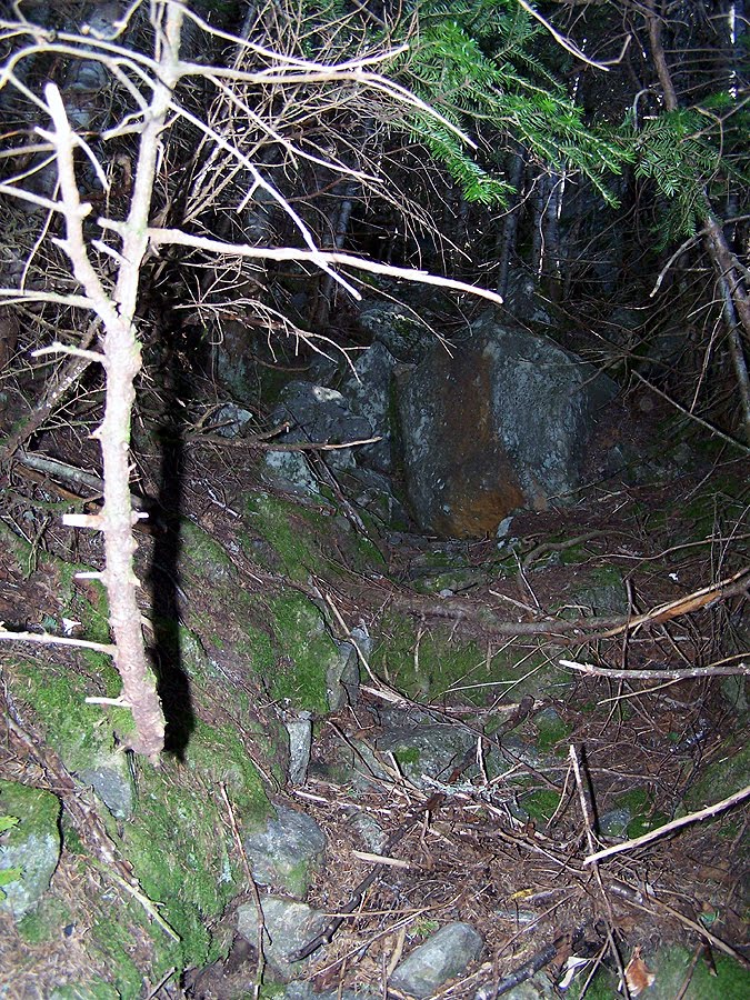 Hiking in the White Mountains: Abandoned Adams Slide Trail