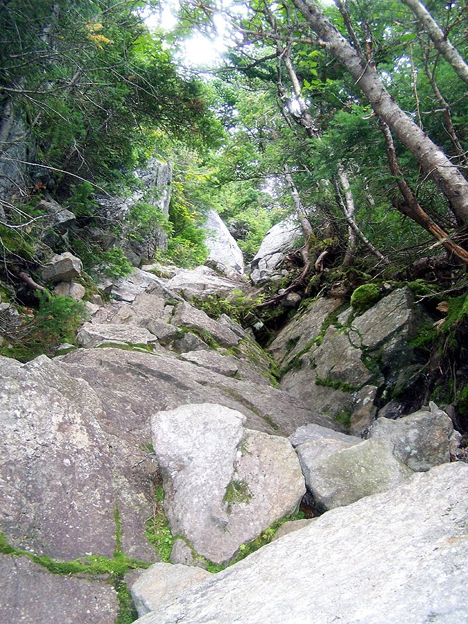 Hiking in the White Mountains: Abandoned Adams Slide Trail