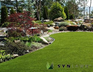 SYNLawn Okanagan: Save water with SYNLawn
