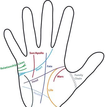 Hand Palm Reading,Palm Reading: Palm Reading Children Line