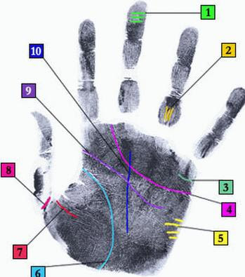 Hand Palm Reading,Palm Reading: Palm Reading Wealth