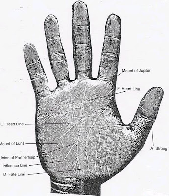 Hand Palm Reading,Palm Reading: Palm Reading Wealth