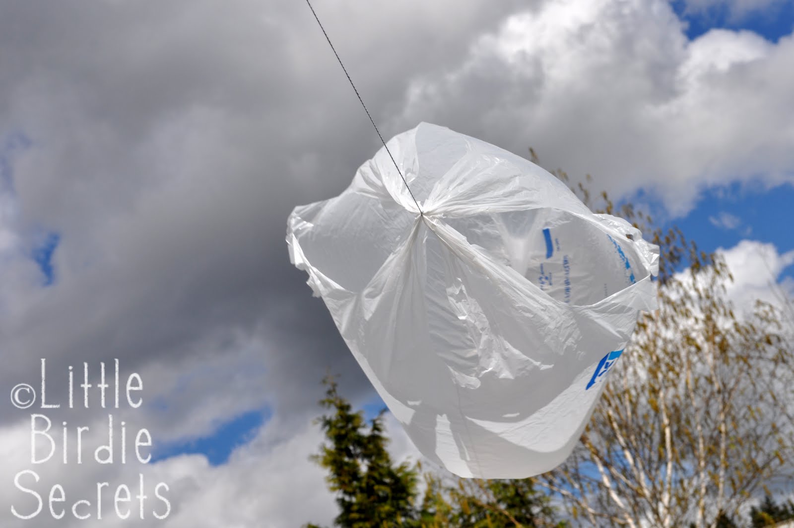 the windless kite | Little Birdie Secrets