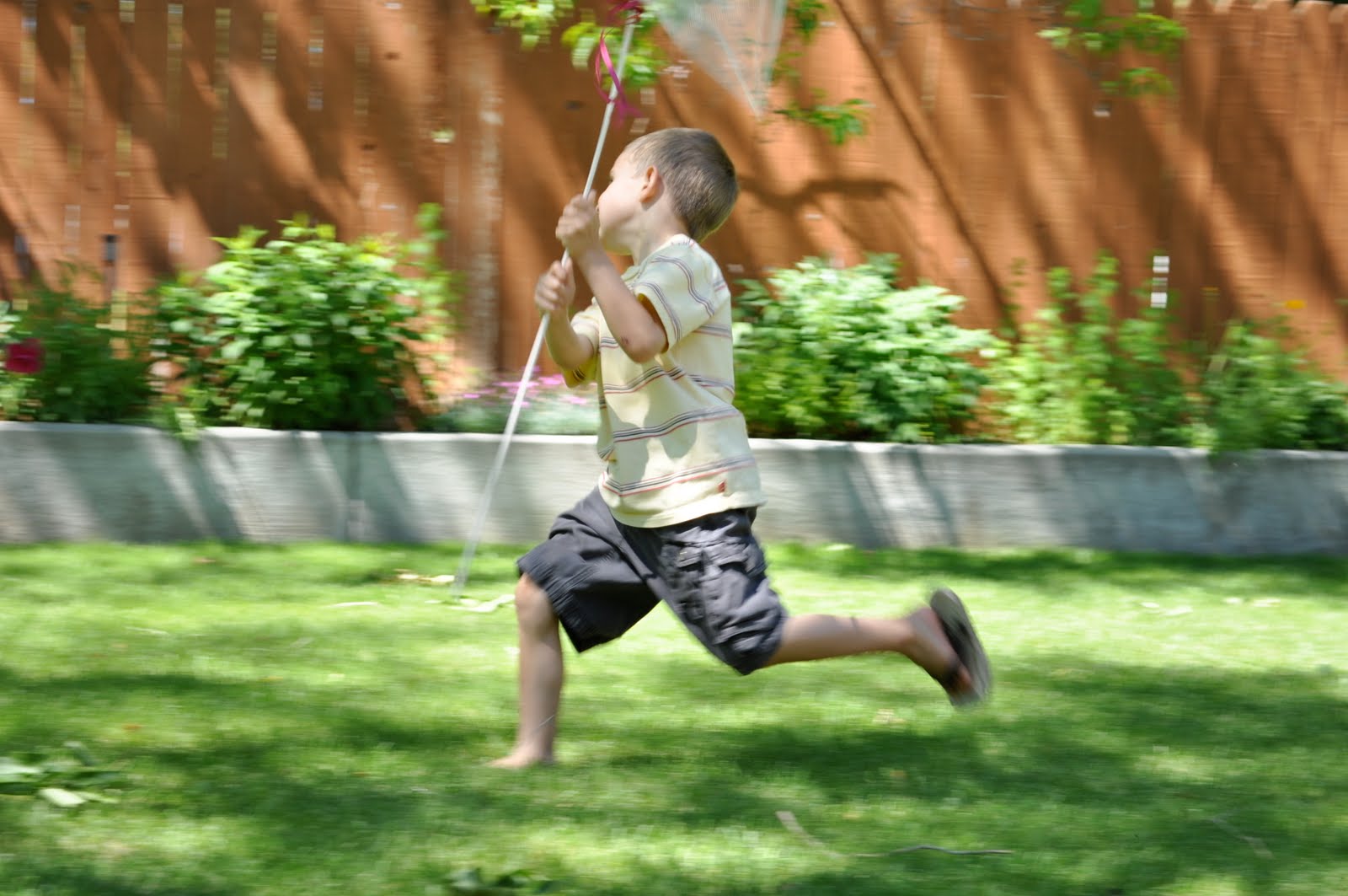 Homemade Butterfly Net from Little Birdie Secrets | Skip To My Lou