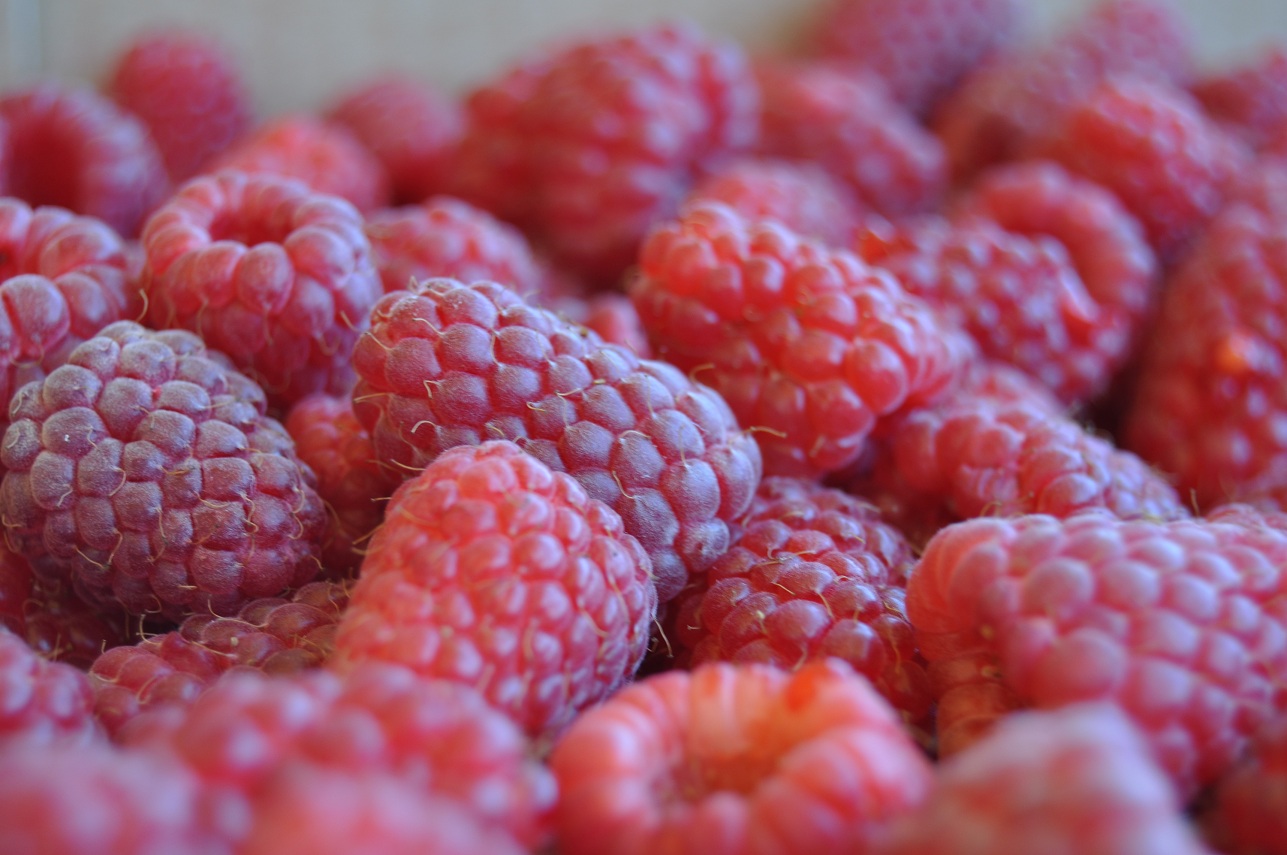 triple berry jam | Little Birdie Secrets