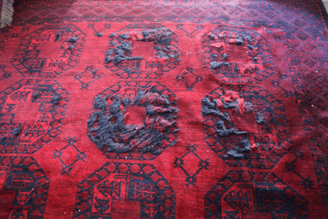 RugArt | Rug Repair | Rug Restoration | Rug Cleaning: OLD AFGHAN ...