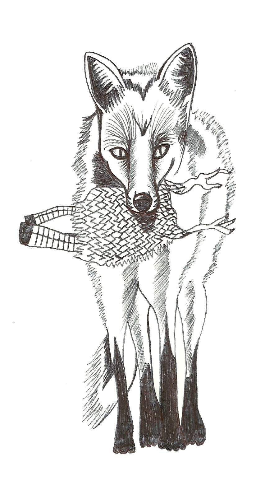 Sheeta Li Illustration: Badly Drawn Fox