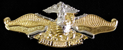 A Bear In The Desert: FLEET MARINE FORCE - QUALIFIED!!!