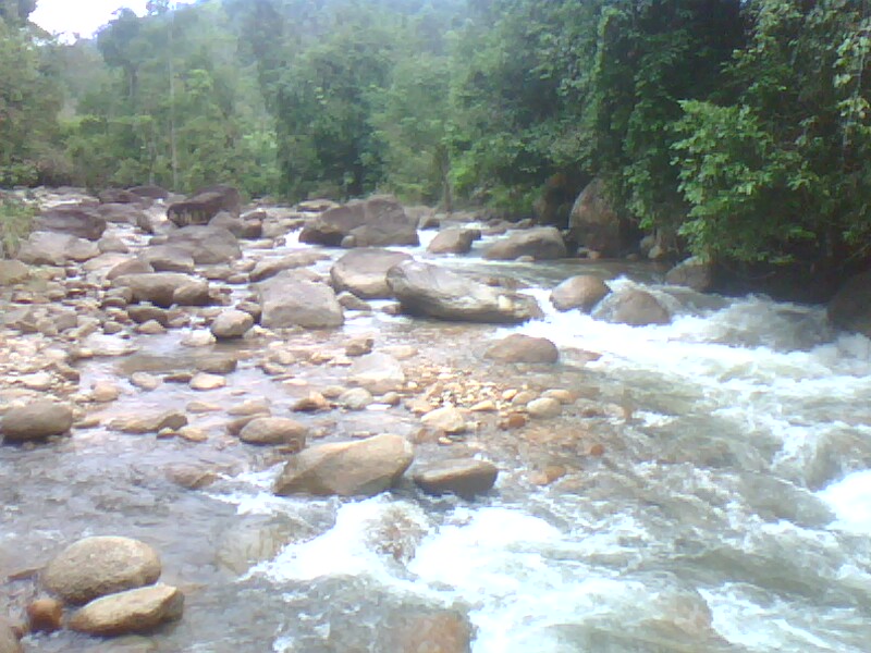 pleaselovemeunconditionally: Lata Rambung