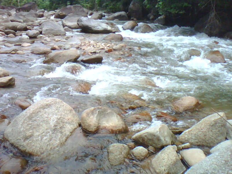 pleaselovemeunconditionally: Lata Rambung