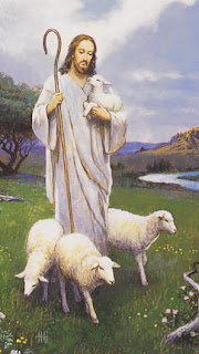 Energía Crística activa: PARÁBOLA DEL REDIL