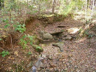 My Carolina Backyard: Hiking in the Pacolet River Heritage Preserve
