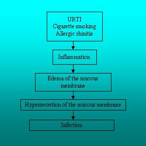 Queries About Nursing**: Pathophysiology of Sinusitis