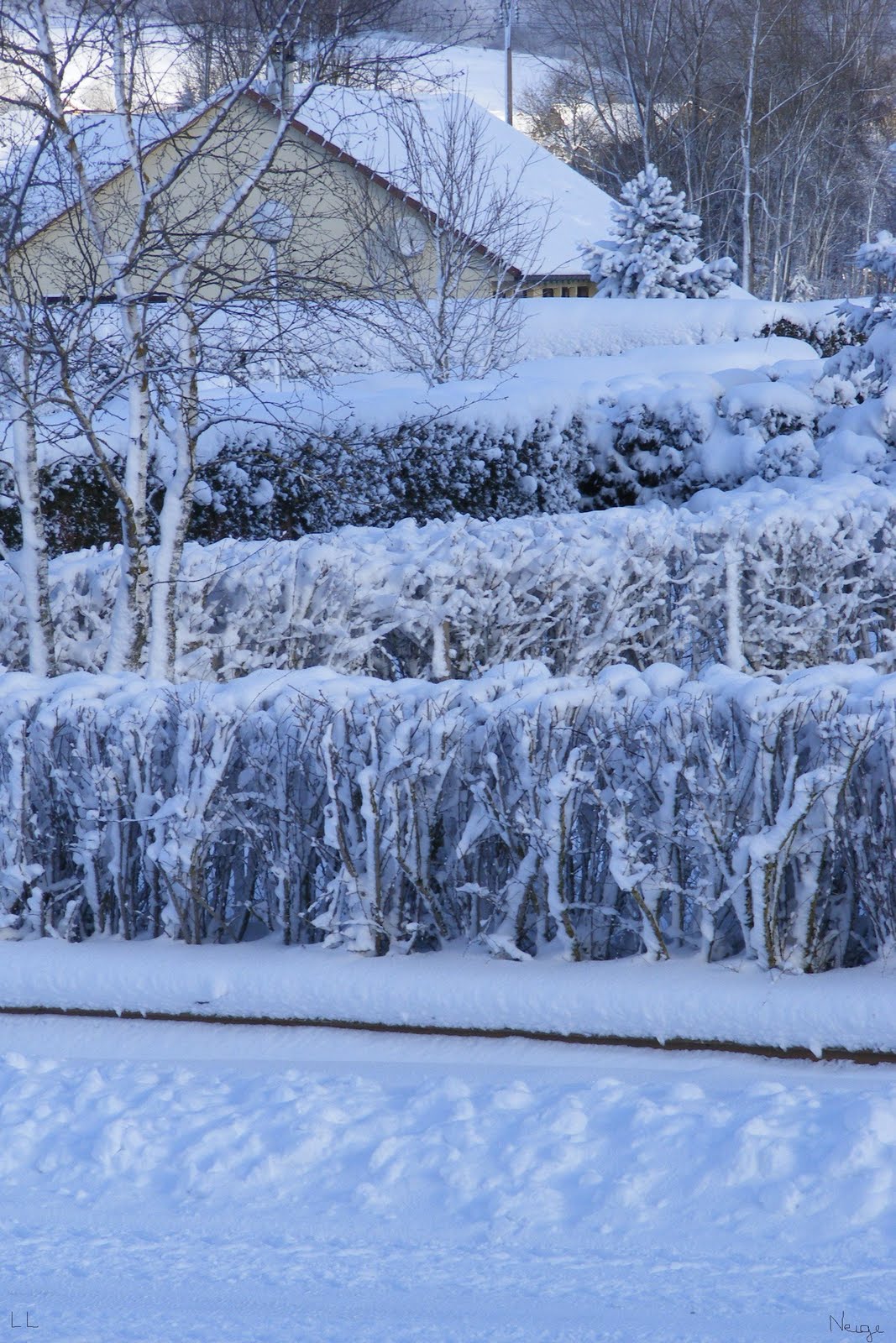 FABULO: novembre 2010