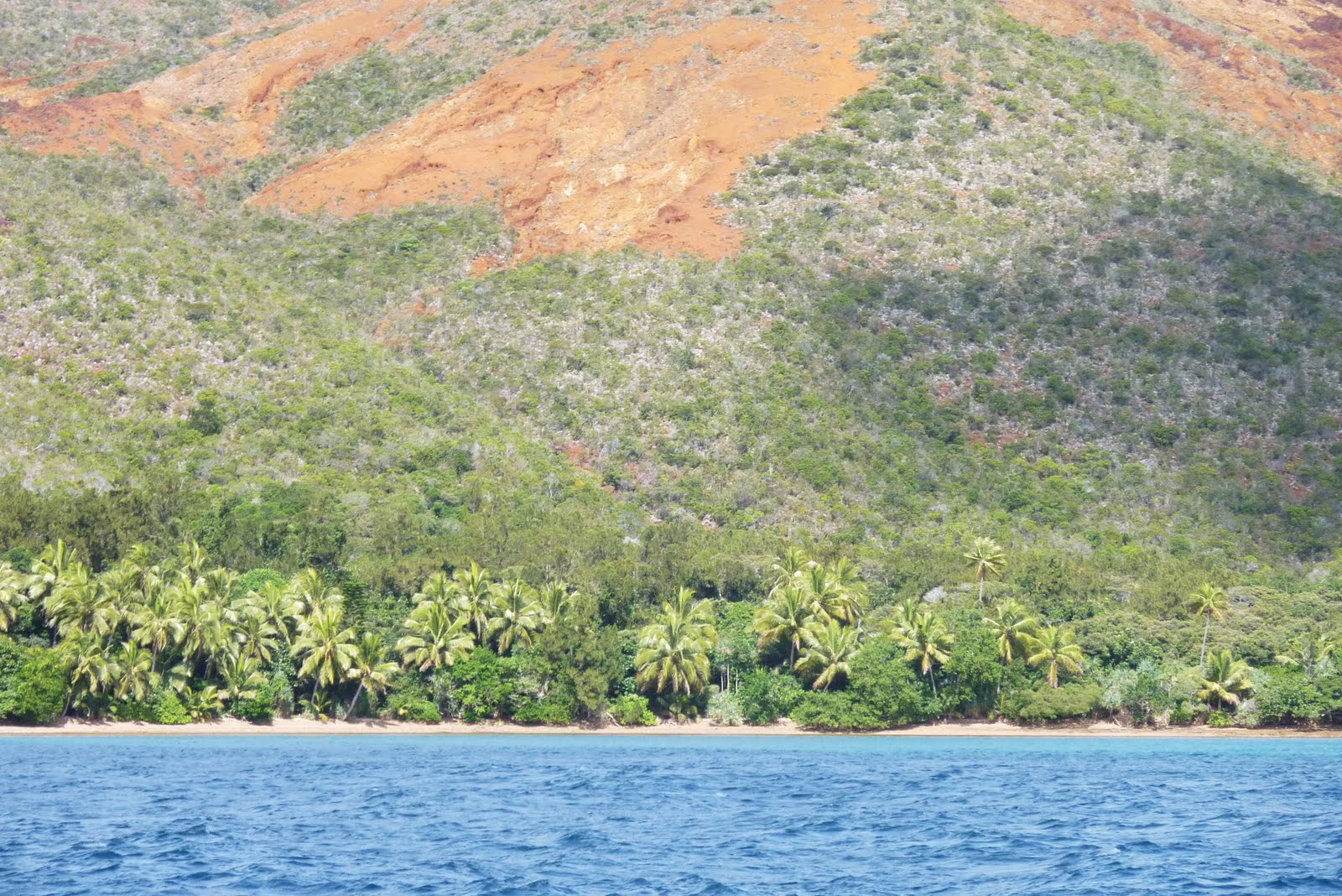 nouvelles caledoniennes: baleine(s) à bosse