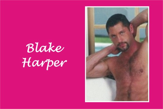Homens que amamos: Blake Harper