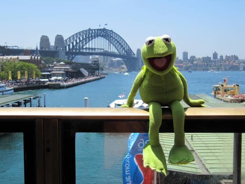 Ma Nouvelle Vie en France - My New Life in France: Kermit the Frog in ...