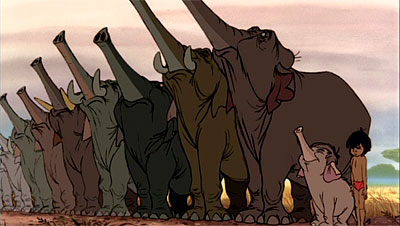 . Loving Every Moment .: Marching With Elephants