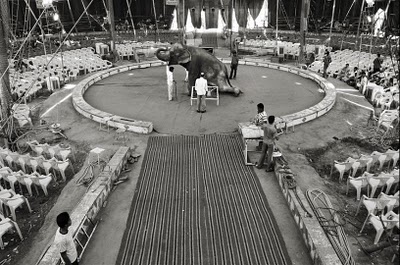 Old Indian Kerala Circus Team Picture Gallery | Top of India