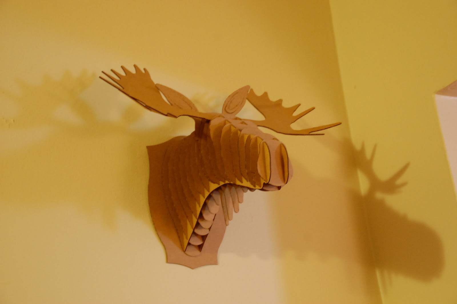 Lisa Moves: Fred the cardboard moose