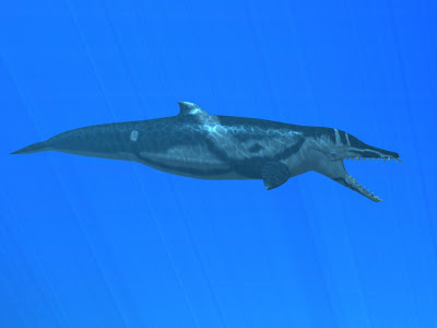 ART Evolved: Life's Time Capsule: Reconstruction Tips: Flukes Part 4