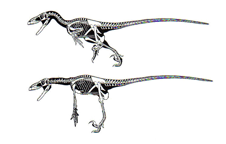 Weapon of Mass Imagination: You posed Raptors?!?