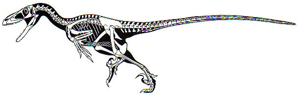 Weapon of Mass Imagination: You posed Raptors?!?
