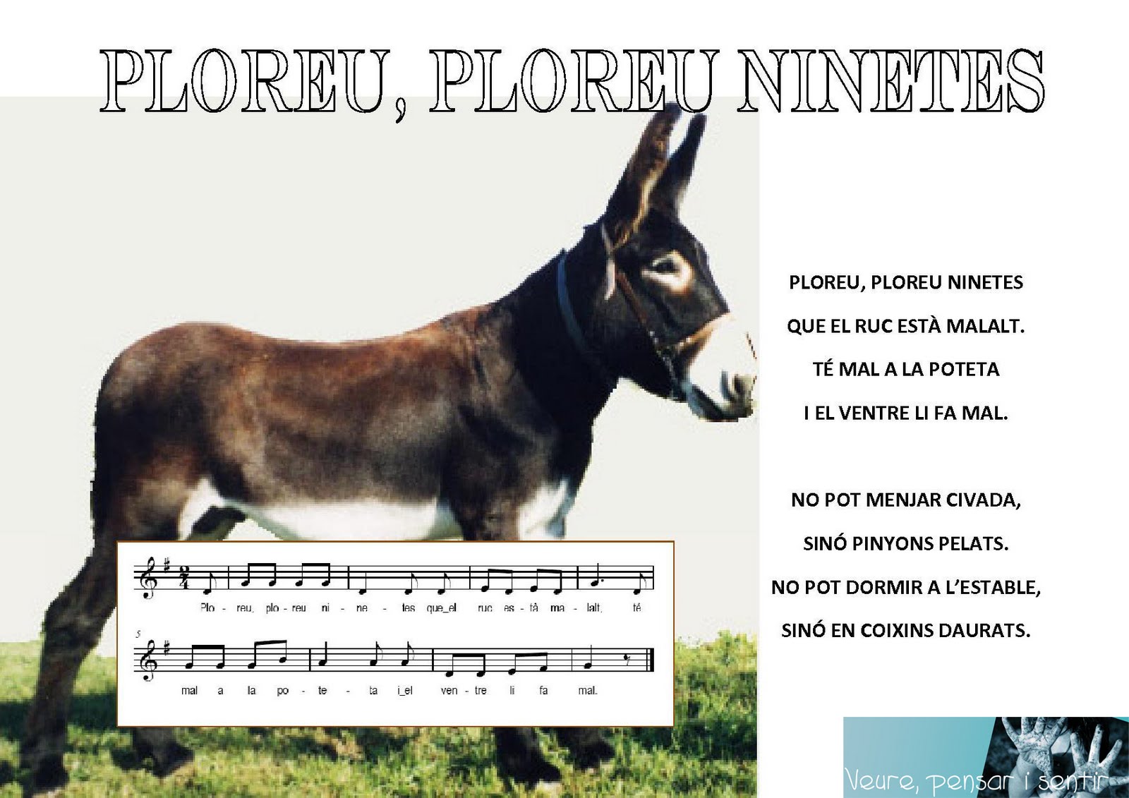 PLOREU, PLOREU NINETES