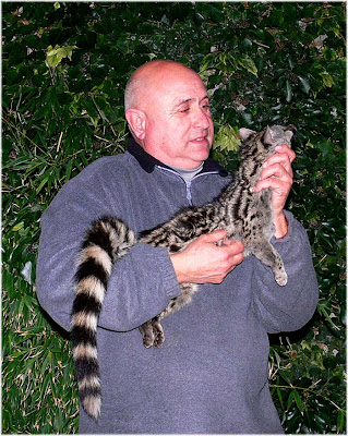 FOTO NATURA HUESCA 2: Genetta gineta jineta geneta c'hazh-banal boutin ...