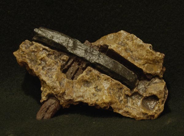 Misteri London Hammer, Palu Berusia 110 Juta Tahun