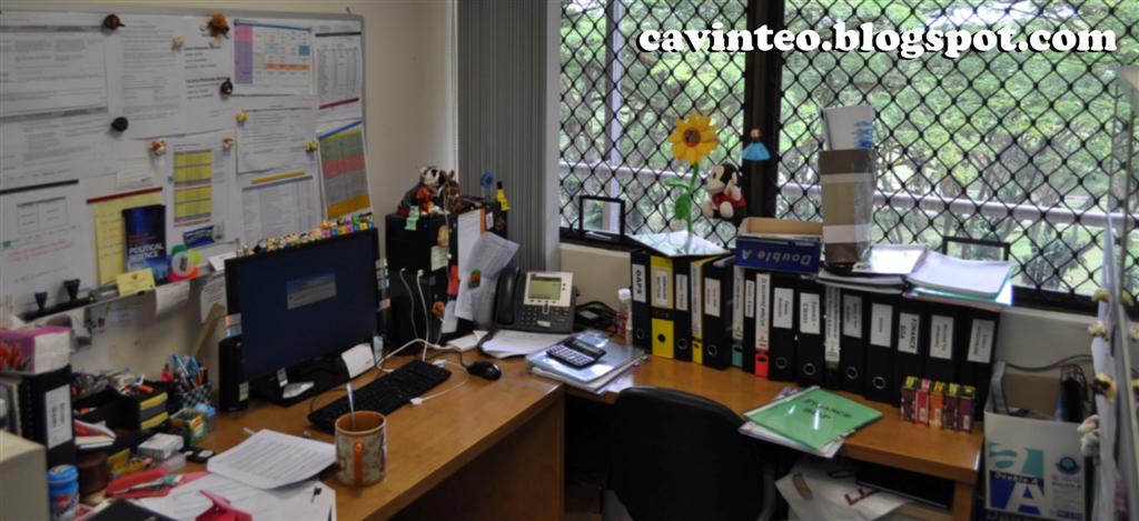 Entree Kibbles: Yesterday