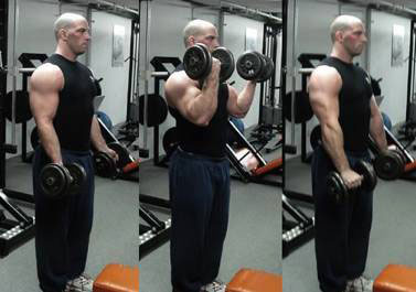 Standing Dumbbell Curls ~ Acces Builder