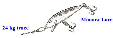 TOP FISHING GAMES: Barramundi Fishing Tips; Best Baits for Barramundi ...