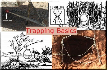 Sword Of Survival: Trapping Basics 101