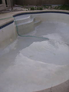 Pool Service by Pool Savers: Pool Service in Queen Creek - Pool Tile ...