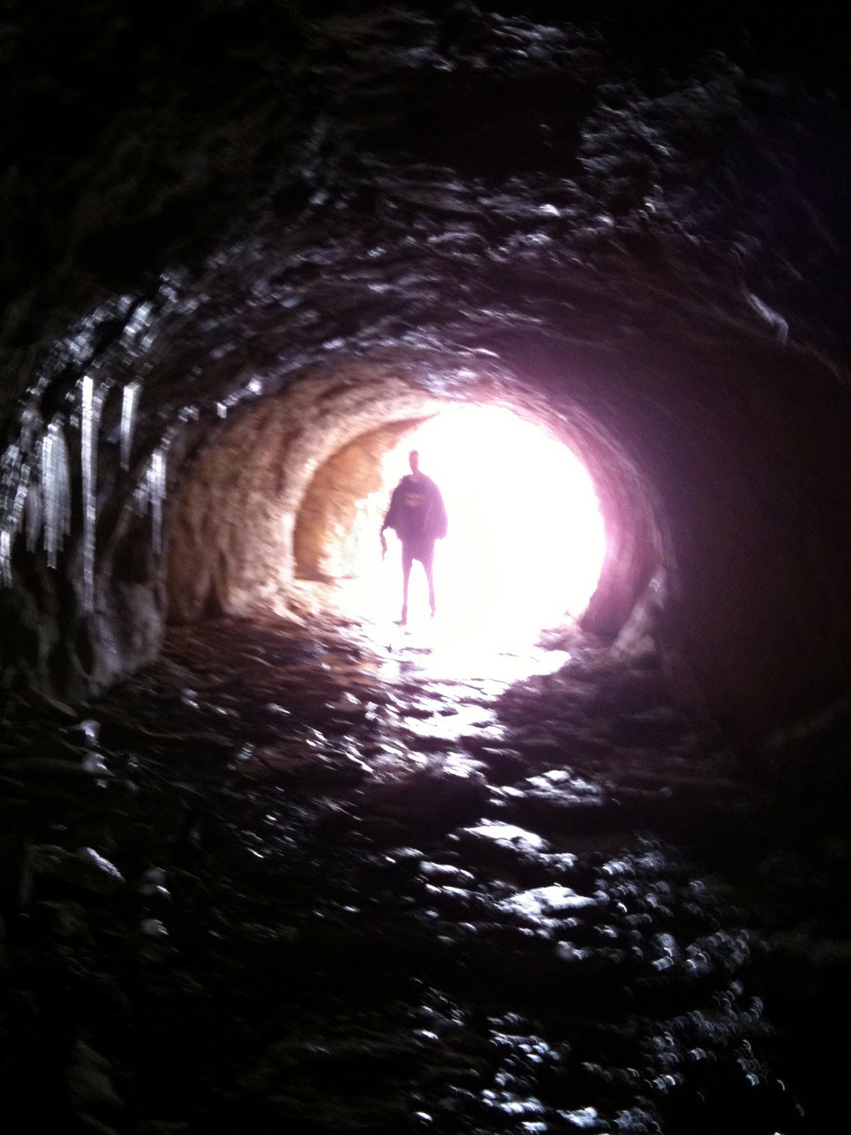 Patton's Cave vs Cabin Fever