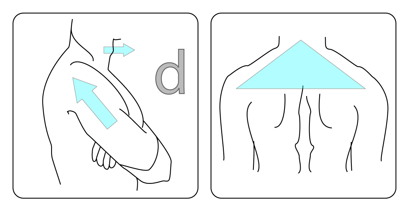 TECHknitting: Body shapes and attributes--designing and fitting ...