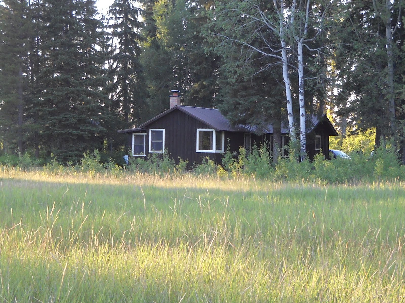 Flavor of the Day: Ben Rover