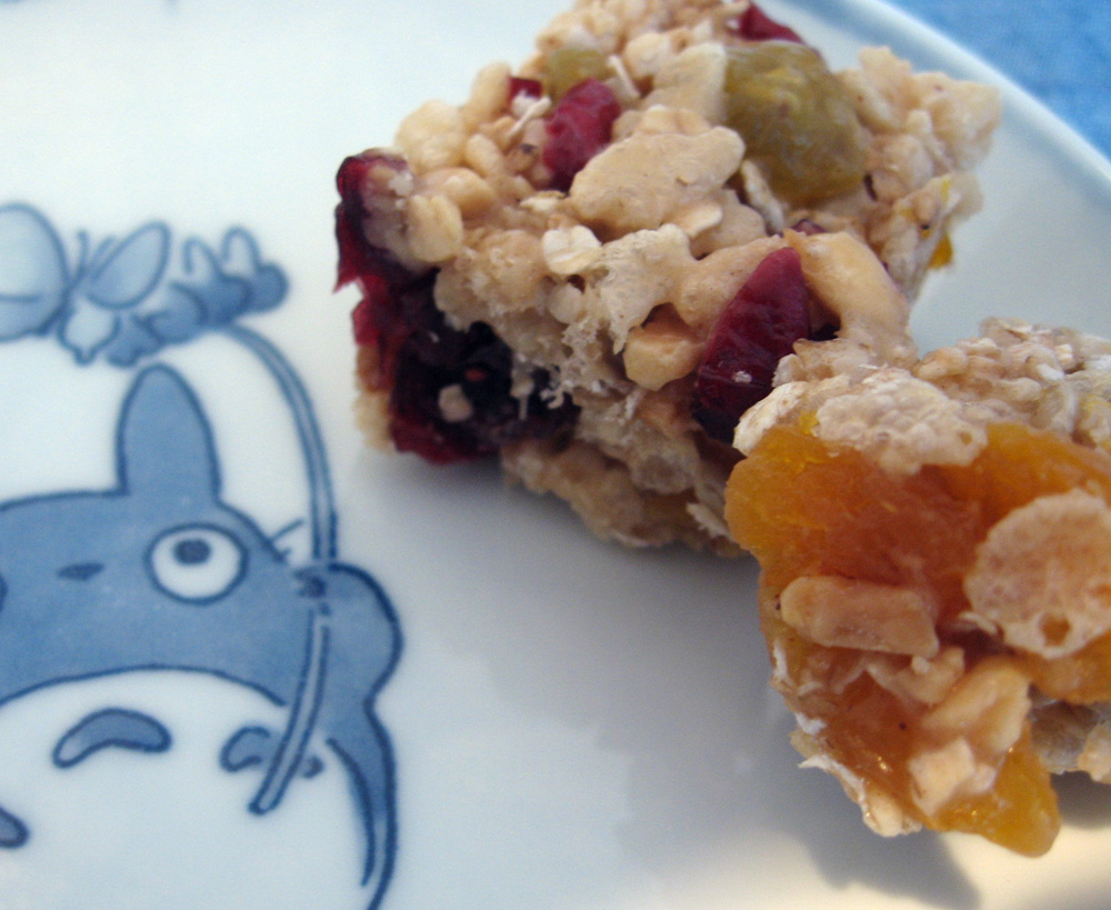 Acornbud's Yarns: Energy Bars