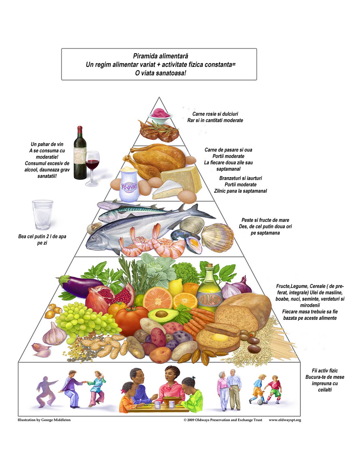 Un nou stil de viata. Mai bun.Mai sanatos: Piramida alimentară