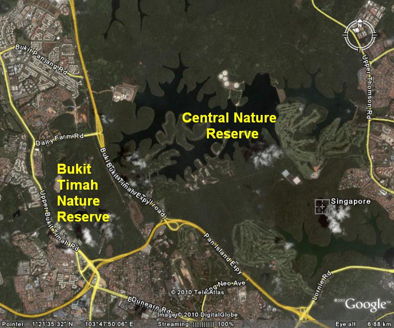 Celebrating Singapore's BioDiversity!: Bridge for biodiversity: Eco ...