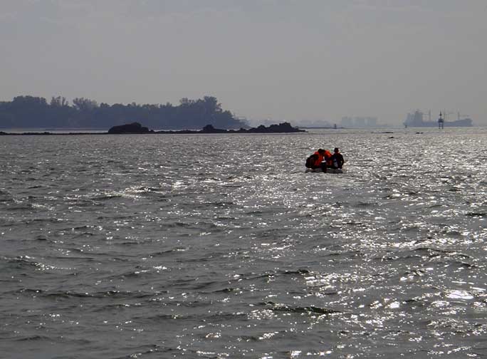 wild shores of singapore: Bravely to Buran