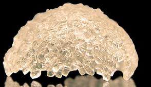 Building Organs with Biological Legos | NextBigFuture.com