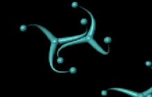 Protein Computing, Bio-based Quantum Computing and Nano-sized biolasers ...