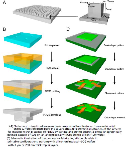 Reversible adhesion stamp can vary adhesive strength by 1000 times ...