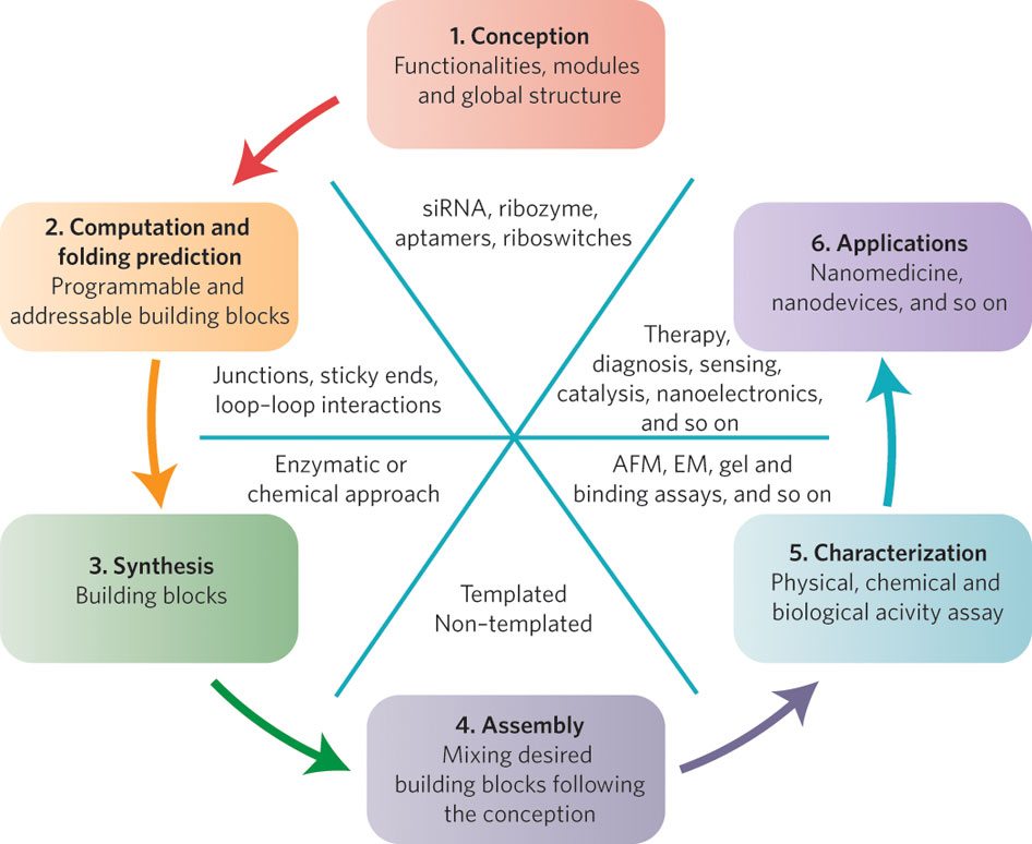 The emerging field of RNA nanotechnology | NextBigFuture.com