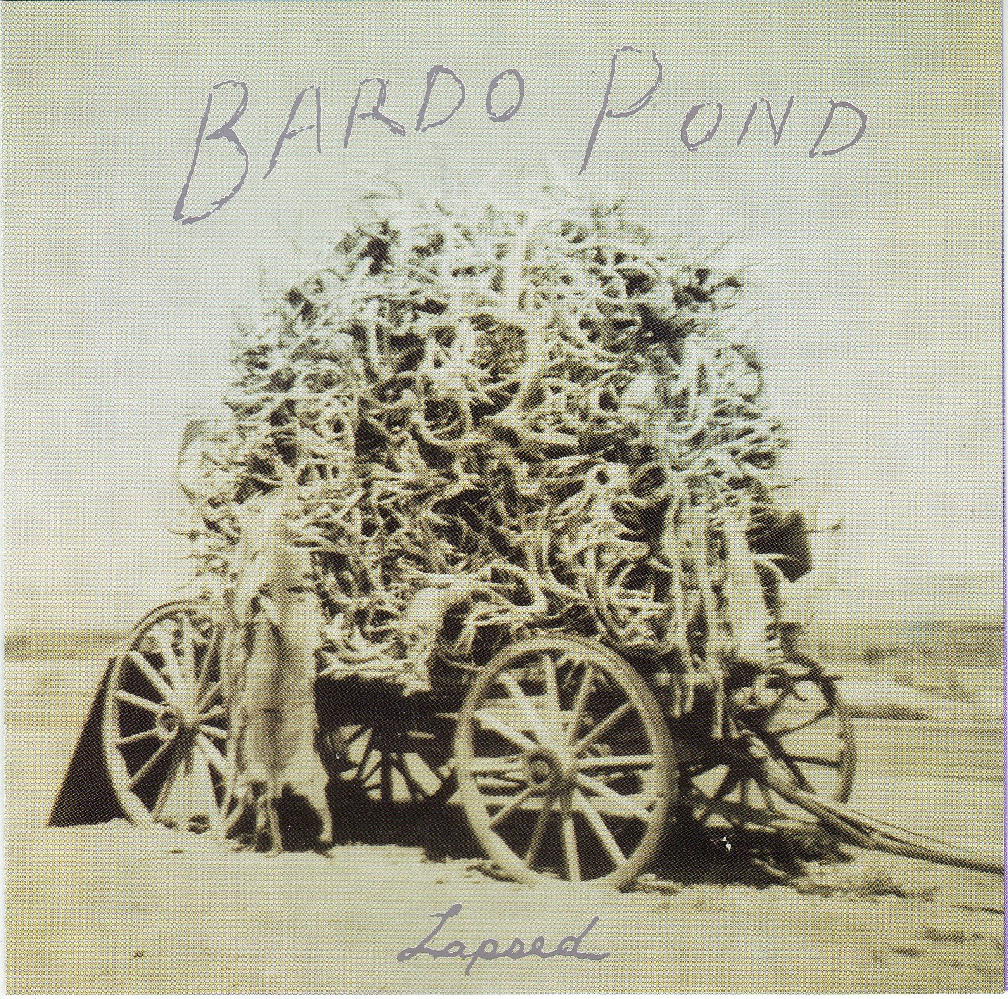 NO PICTURES REVIEWS: BARDO POND – LAPSED (MATADOR RECORDS)