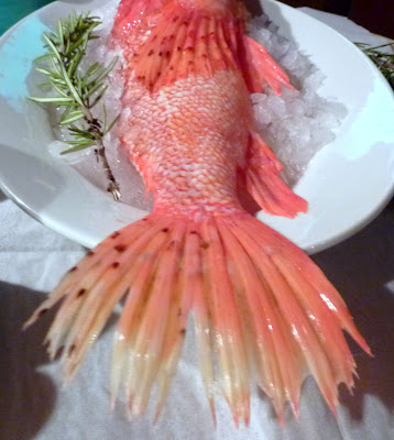 KLEMENOVA KUHINJA: Škarpena v pečici