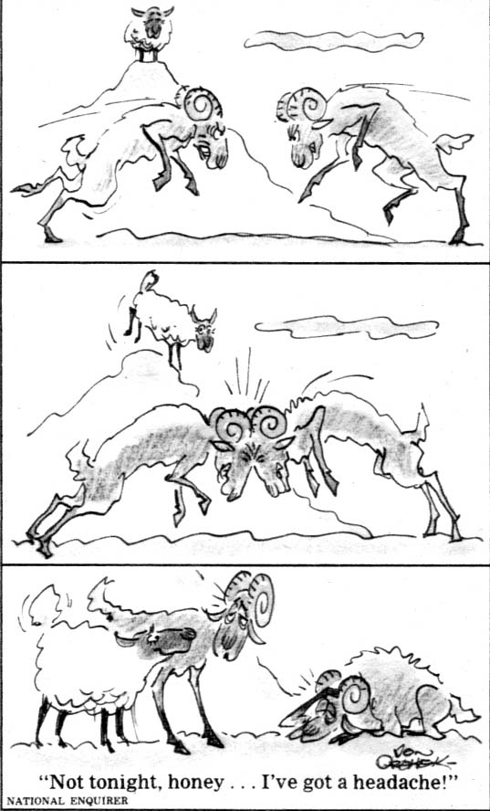 Don Orehek Cartoons: National Enquirer: 6 Panel